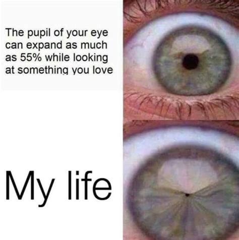 Ur Local Meme Thief♡ On Tumblr