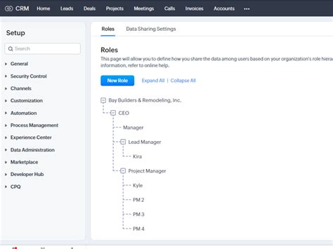 Zoho Crm Setup With Roles Dynamic Workflows And Intelligent