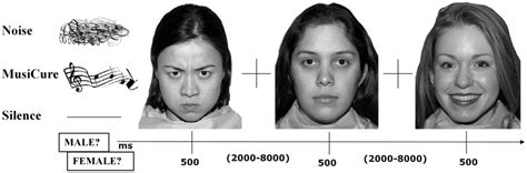 Neuropsychological Task Figure Showing The Implicit Emotion Processing Download Scientific