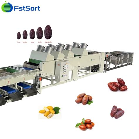 Dates Washing Drying Sorting Machine Fruits Grading Machine And Date