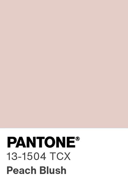 Pantone 13 1504 Tcx Peach Blush Pantone色号库 Pantone潘通中国官网