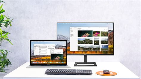 Help After Purchase Of A Graphic Monitor Coolblue Anything For A Smile