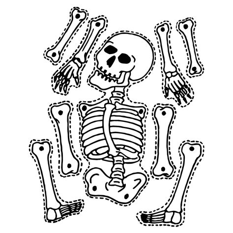 Cut Out Printable Skeleton Bones