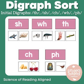 Initial Digraph Sort by Project Based Primary LLC | TPT