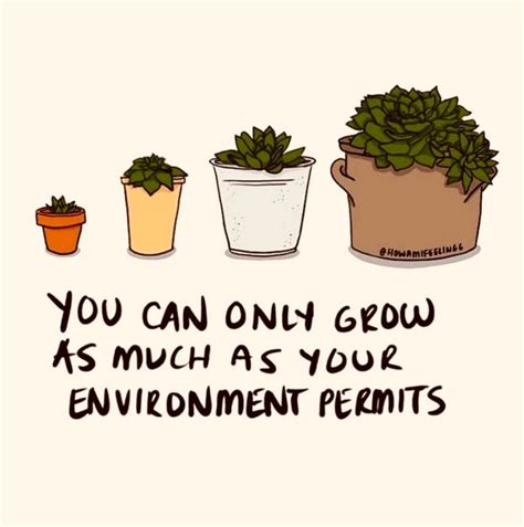 Fhulufhelo Shiela Makhado On Linkedin Yes And Amen