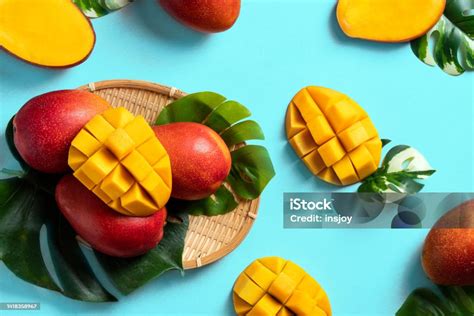 망고 배경 디자인 개념 탑 뷰 파란 테이블에 신선한 망고 과일을 다진 것 0명에 대한 스톡 사진 및 기타 이미지 0명 개념 건강한 식생활 Istock