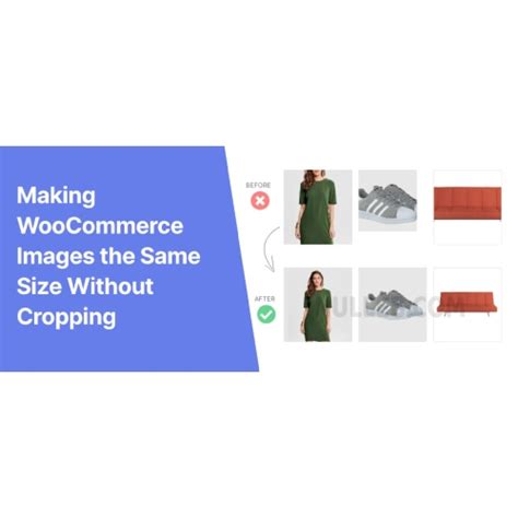 smart image resize pro at 3 49 only wpshop