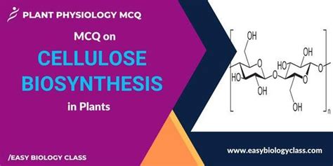 Mcq On Cellulose Synthesis Easybiologyclass