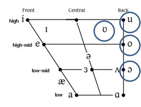 English Consonants 3 20 18 Exam 2 Speech Science Flashcards Quizlet