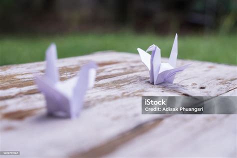 종이 접기 새는 신성한 새이며 장수 희망 행운과 평화의 상징으로 여겨집니다 0명에 대한 스톡 사진 및 기타 이미지 0명 International Day Of Peace