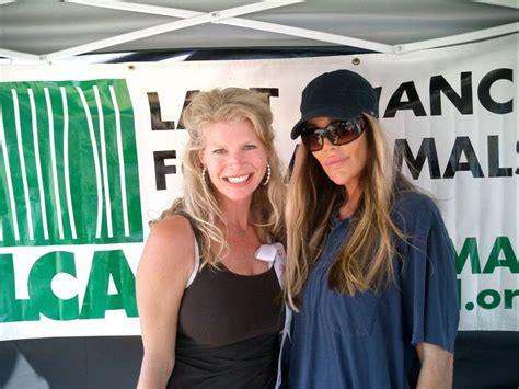 Pictures Of Kim Sill