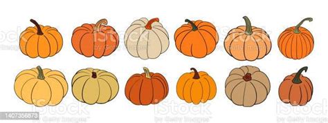 흰색에 고립 된 따뜻한 자연 가을 색상의 다양한 손으로 그린 호박 스쿼시의 큰 세트 벡터 일러스트 레이 션 가을 할로윈 추수 감사절 디자인 요소 소박한 코티지 코어 컬렉션