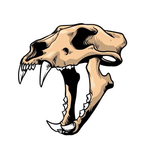 Tiger Skeleton Vector Art Icons And Graphics For Free Download