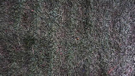 Premium Photo Dirty Grass Texture Background
