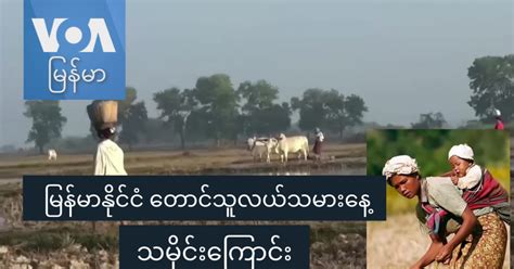 မြန်မာနိုင်ငံ တောင်သူလယ်သမားနေ့ သမိုင်းကြောင်း