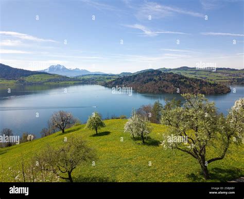 Aerial View Of The Lake Of Zug In Central Switzerland With The Famous