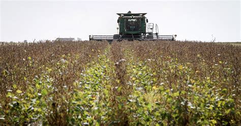 Not Just Oil Are Lower Commodity Prices Here To Stay