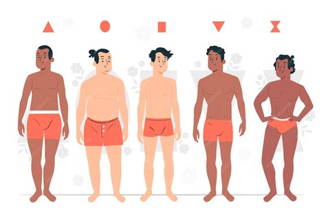 Different Guy Body Types