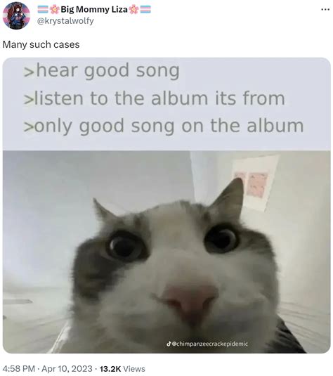 Only Good Song On The Album Many Such Cases Know Your Meme