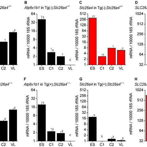 Endocochlear Potential And Ph Endocochlear Potential A And The