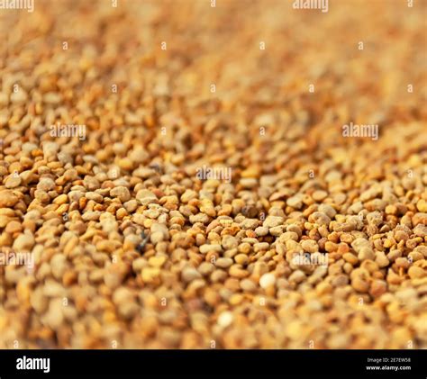 Bee Pollen Granules Ttexture Close Up The Healthy Product From The