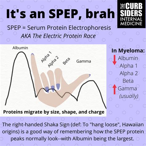 Electrophoresis Multiple Myeloma