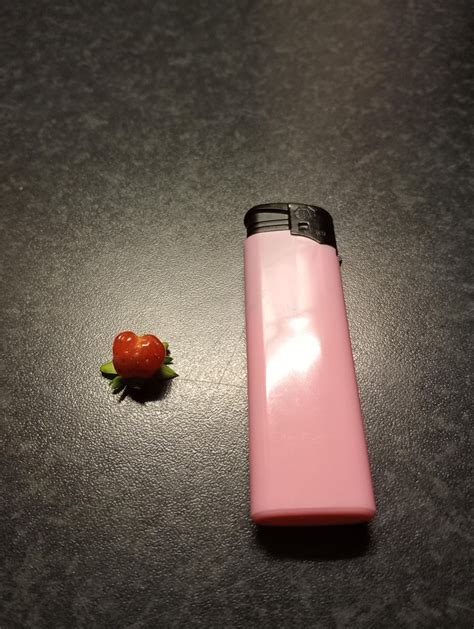 Tiny Strawberry Rfruit