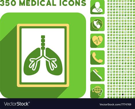 Lungs X Ray Photo Icon And Medical Longshadow Vector Image