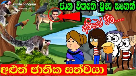අළුත් ජාතික සත්වයා Sinhala Dubbing Cartoon Video Comedy Cartoon Video Banti Kota Youtube