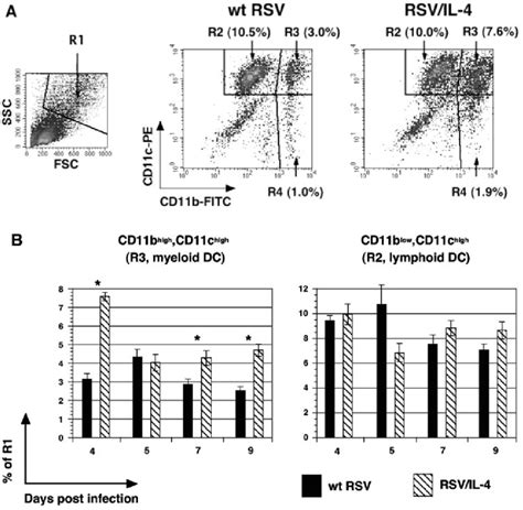 Flow Cytometry Of Pulmonary Myeloid And Lymphoid Dendritic Cells In Download Scientific Diagram