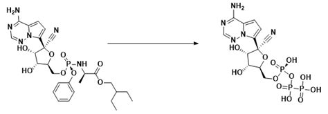 Dose And Safety Of Remdesivir