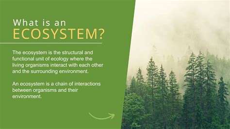 Ecosystem Geography Social Science Fun Photo School Project