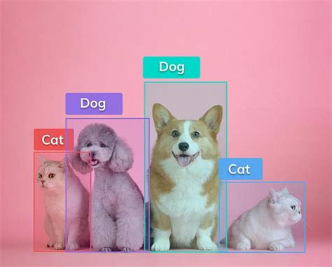 Kavishka Abeywardhana On Linkedin Cornernet Detecting Objects As