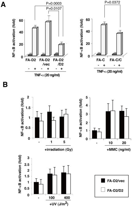 A Fa Fibroblast Cells Derived From Complementation Group C And Group Download Scientific
