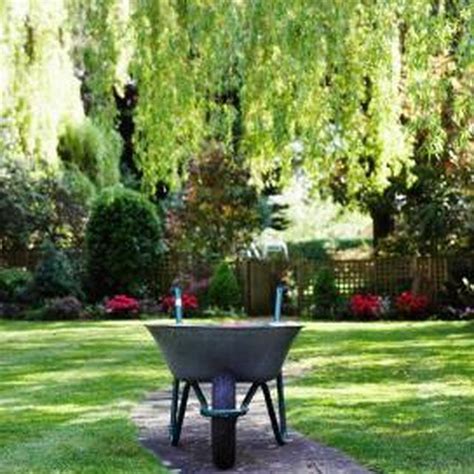 How Can I Make My Lawn Smooth If It Is Very Bumpy Aerate Lawn Lawn Repair Lawn