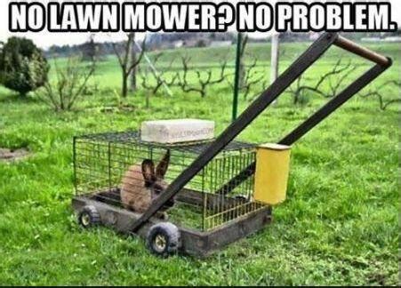 Mower Memes Its Not How Fast You Mow Its How Well You Mow Em Down
