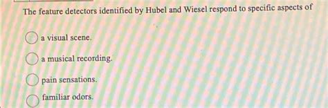 Solved The Feature Detectors Identified By Hubel And Wiesel