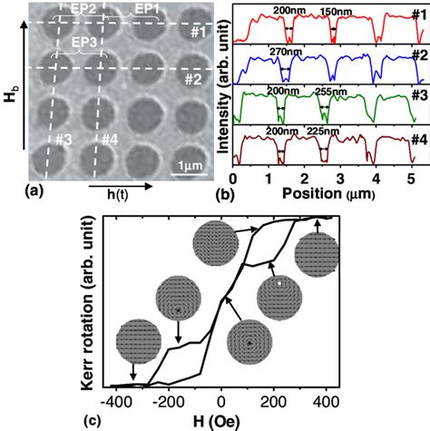 a scanning electron micrograph of an array of permalloy nanodiscs