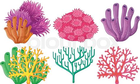 How To Draw Coral Reef Plants