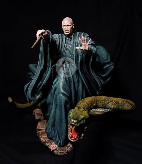 Nagini And Voldemort