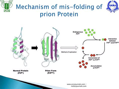 Prion Diseases In India Ppt