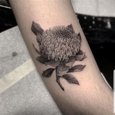 Waratah Flower My First Tattoo Done By Annita Maslov At Heretic Tattoo