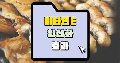 비타민 E의 항산화 효과와 비타민 E 오일의 소문과 진실 좋은 정보 함께 나눠요