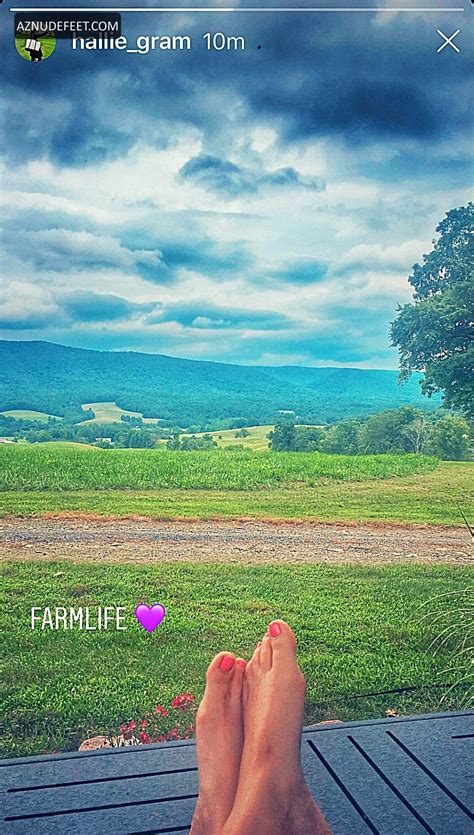 Hallie Jackson Feet Aznudefeet