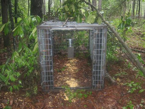 About Hog Cutters Trapping Co
