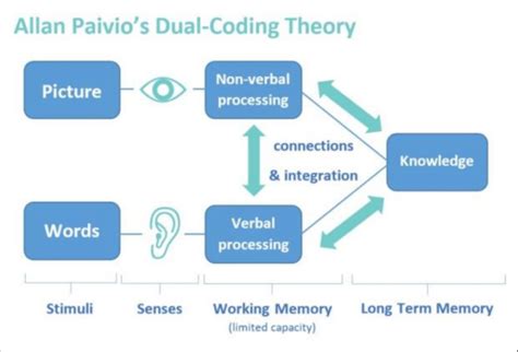Dual Coding Theory Made
