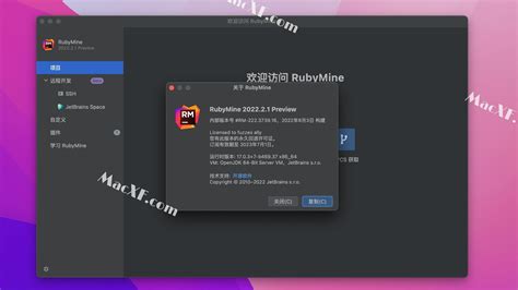 Jetbrains Rubymine 2022 Mac强大的railsruby开发工具最新中文版 哔哩哔哩