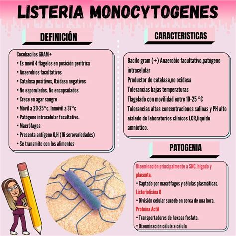 Cuestionario Definicion Y Caracteristicas