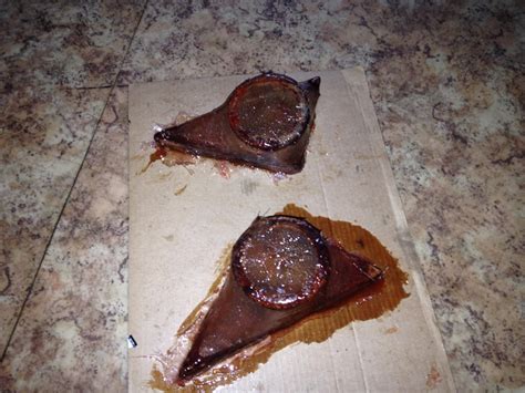 подиумы для твитеров — ГАЗ 31105, 2,4 л, 2007 года | тюнинг | DRIVE2