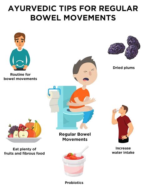 Why Are Bowel Movements Soft At Judy Acosta Blog